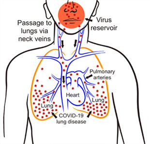 Radiology Masterclass - Test Yourself